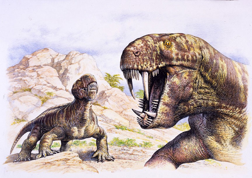 First Mammals And Dinosaurs