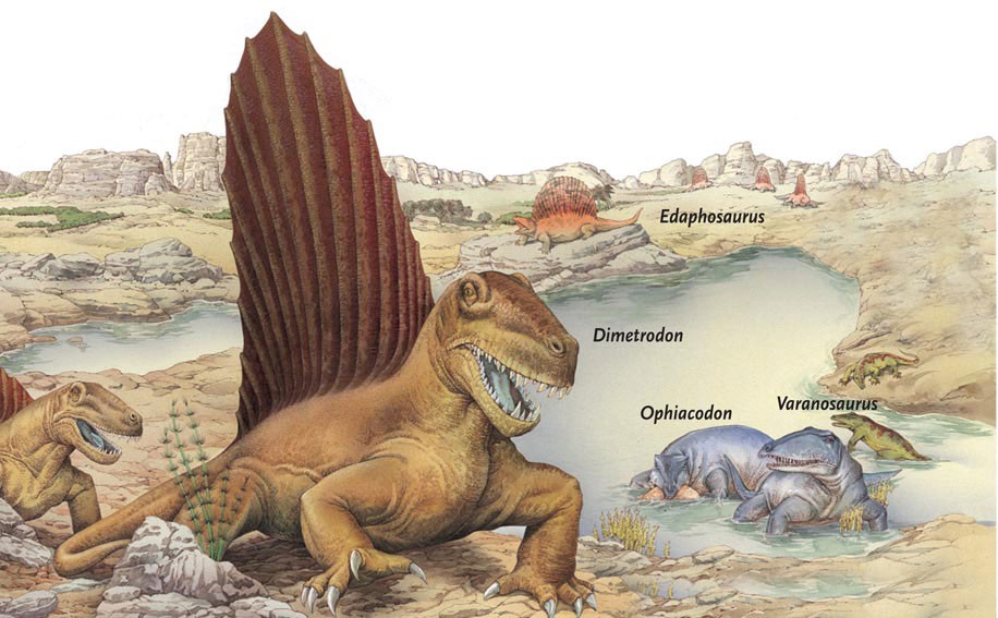 Permian Period Timeline